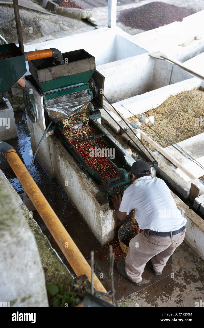 Coffee Pulper Machine High Resolution Stock Photography and Images - Alamy