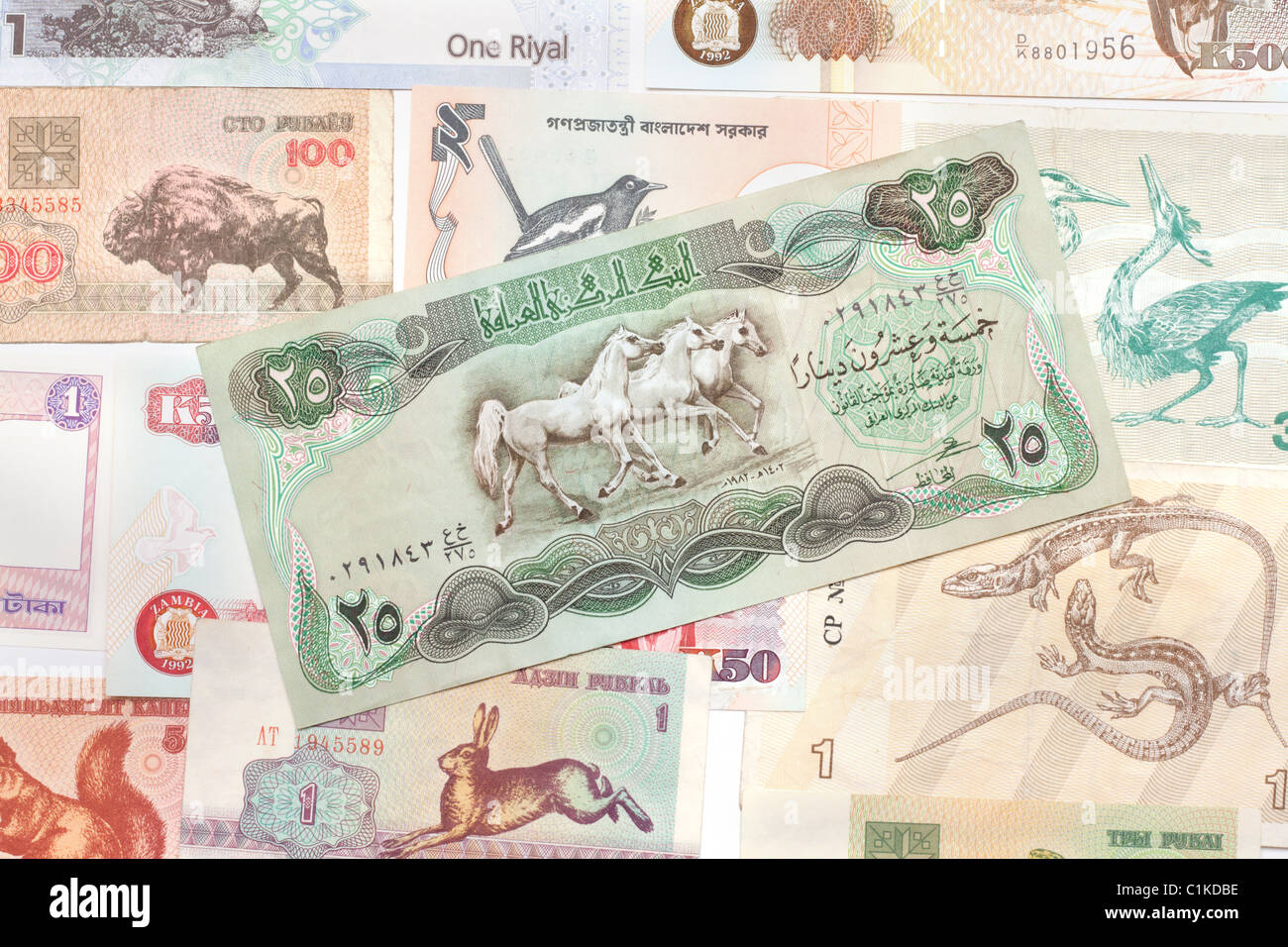 Money lizard hi-res stock photography and images - Alamy