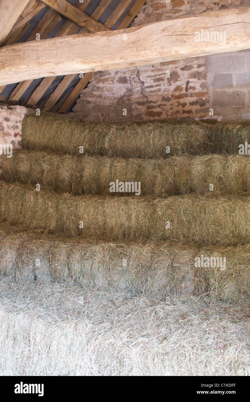 Haymaking at Chancelor's farm on the mendip hills Stock Photo - Alamy