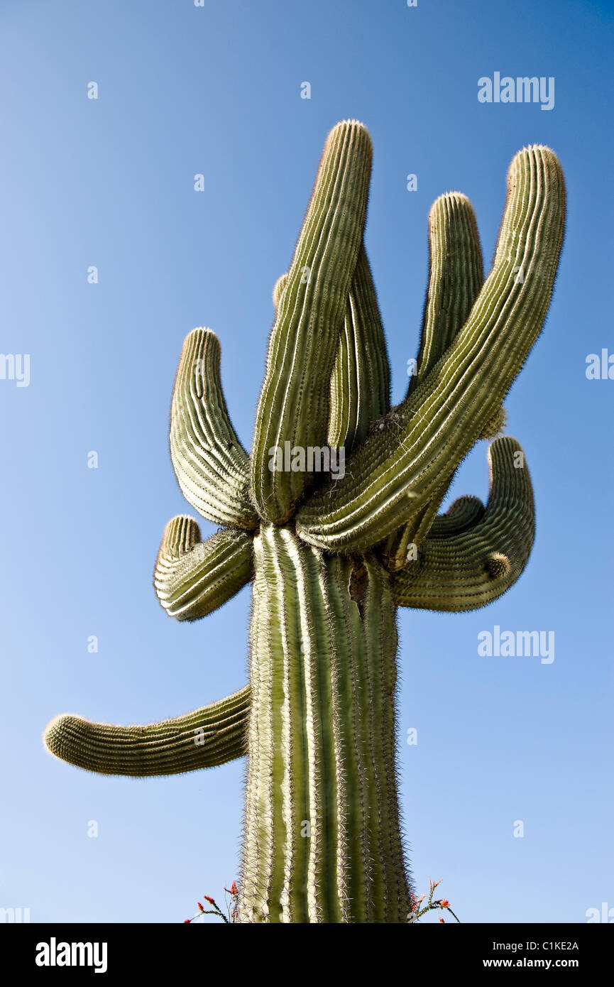 Yuma sky hi-res stock photography and images - Alamy