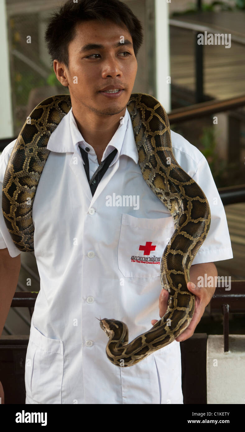 Snake farm in thailand hi-res stock photography and images - Alamy