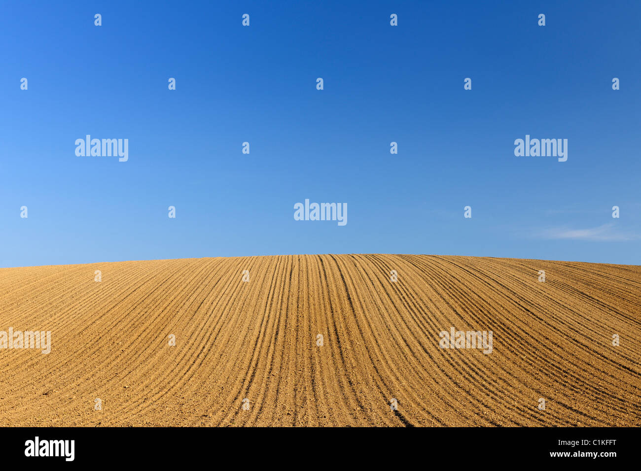 Sowed Field, Reinheim, Darmstadt-Dieburg, Hesse, Germany Stock Photo ...