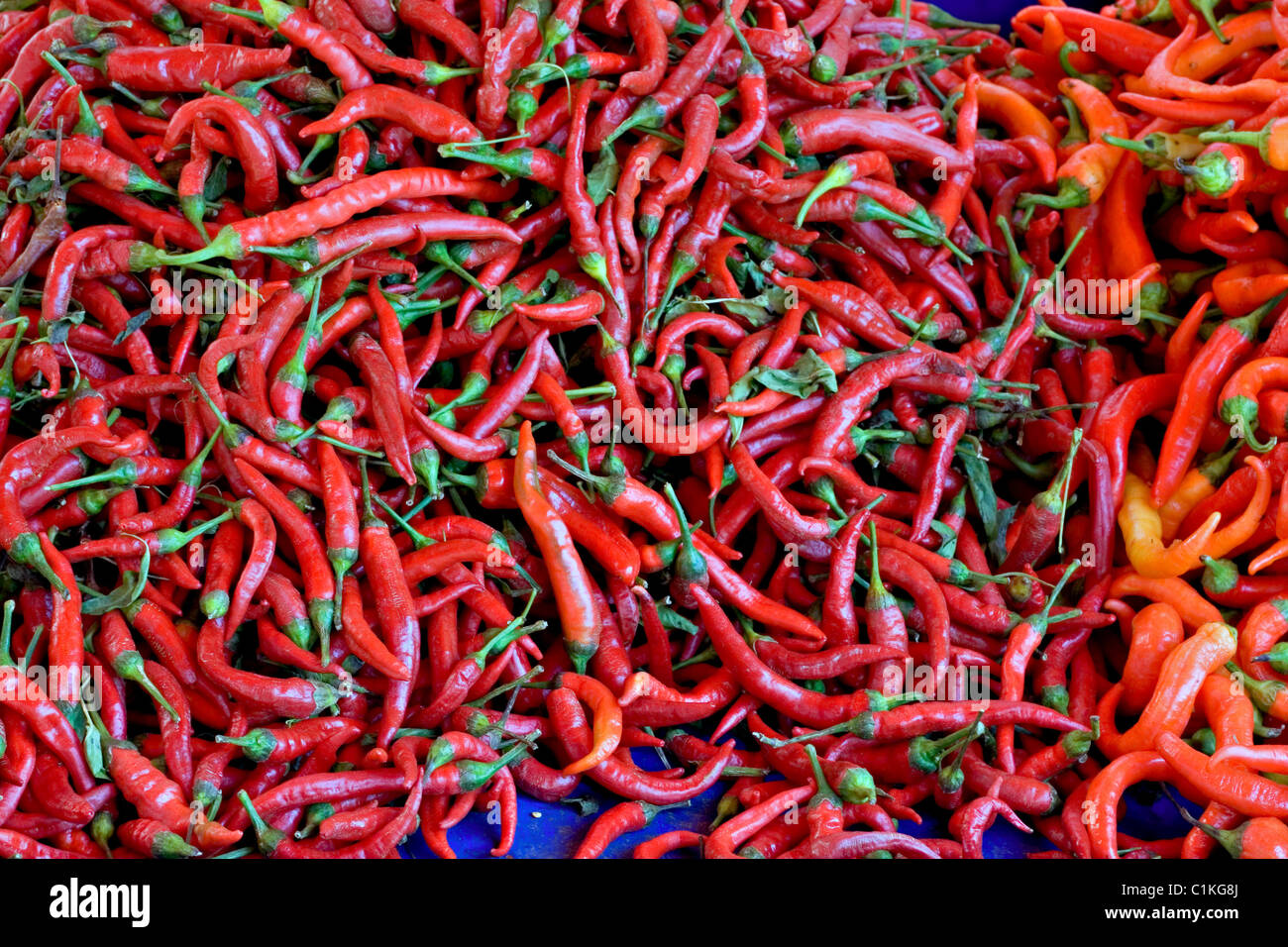 Many fresh red chilli peppers on the market hi-res stock photography ...