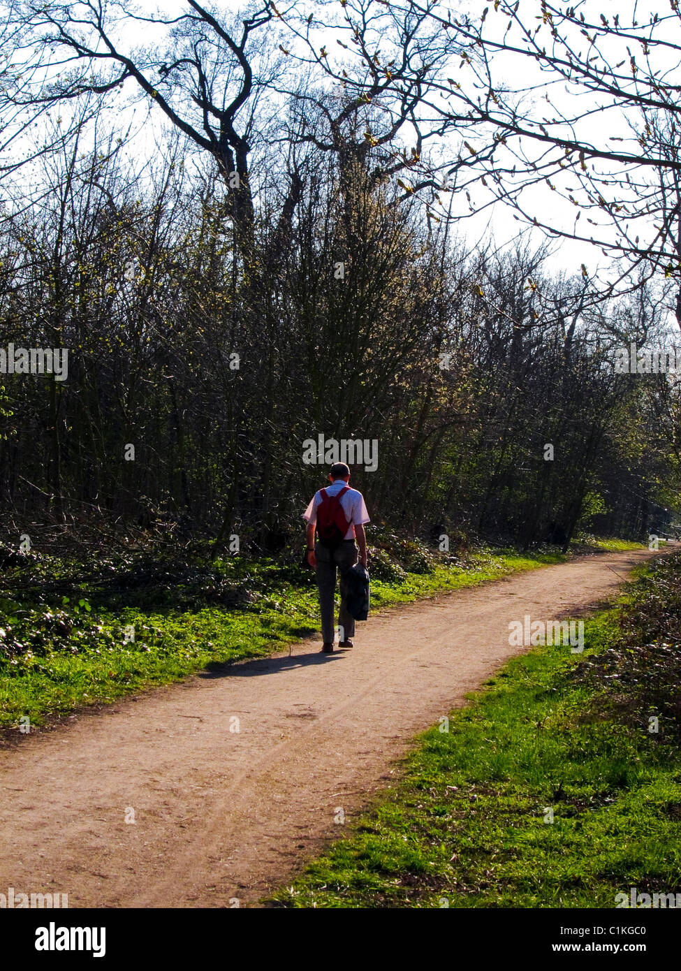 Paris, France, Man Promenading in "Bois de Vincennes", French Urban ...