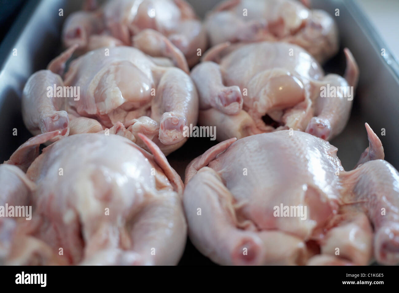 Cornish game hen hi-res stock photography and images - Alamy