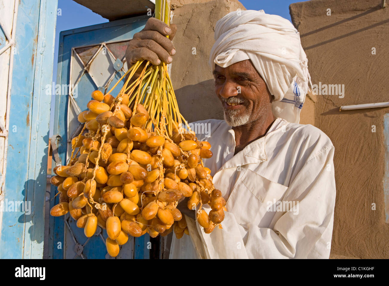 Sudan, Nubian village of Soleib north of High Nubia, freshly cropped ...