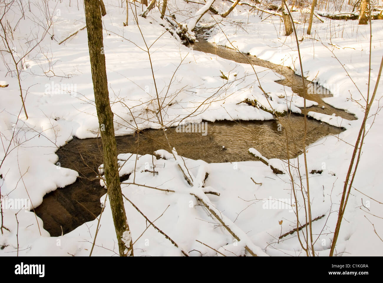 winter rivers winding in the snow Stock Photo - Alamy