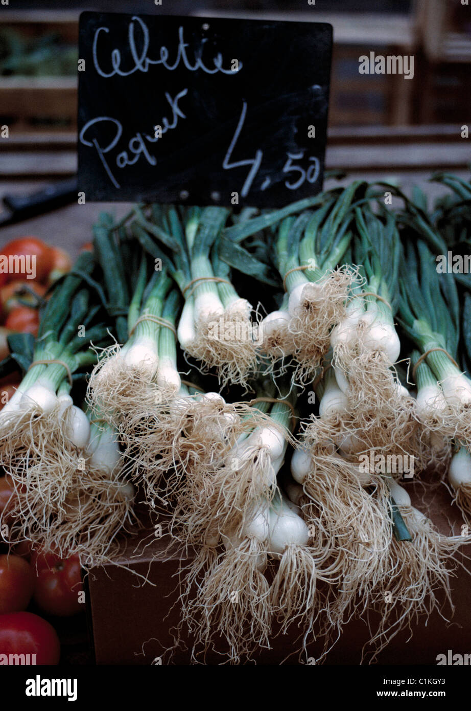 Local market stall, Toulon, France. Spring onion bunches Stock Photo ...