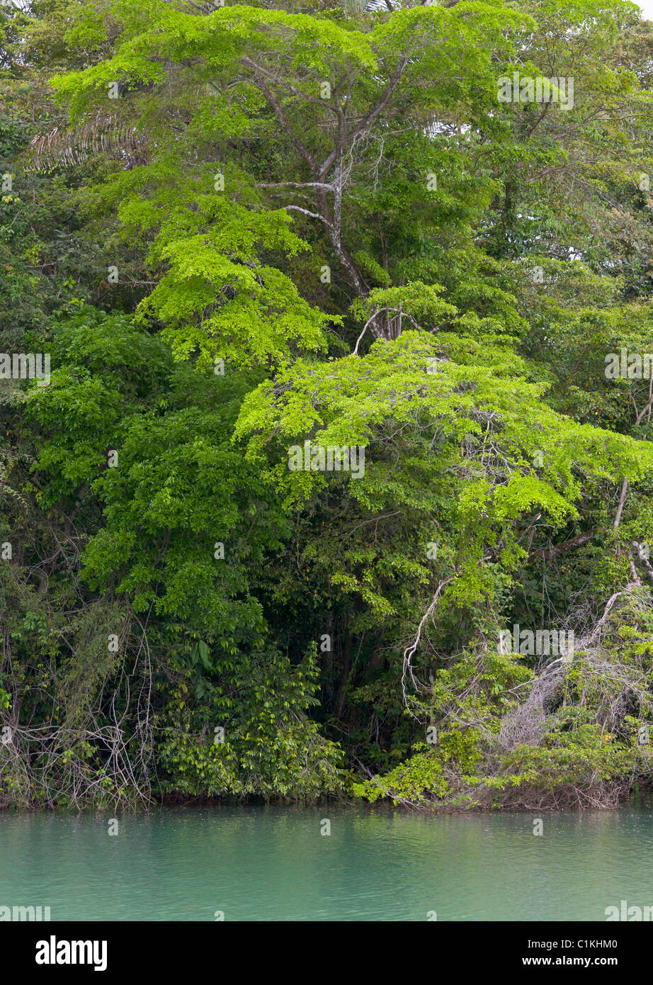 Gatun Lake, Panama Stock Photo - Alamy