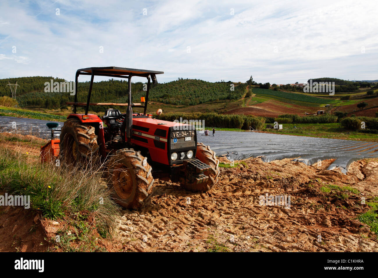 Agriculture in portugal hi-res stock photography and images - Alamy