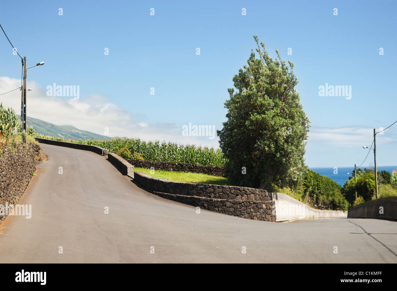 Country road in Pico island, Azores Stock Photo - Alamy