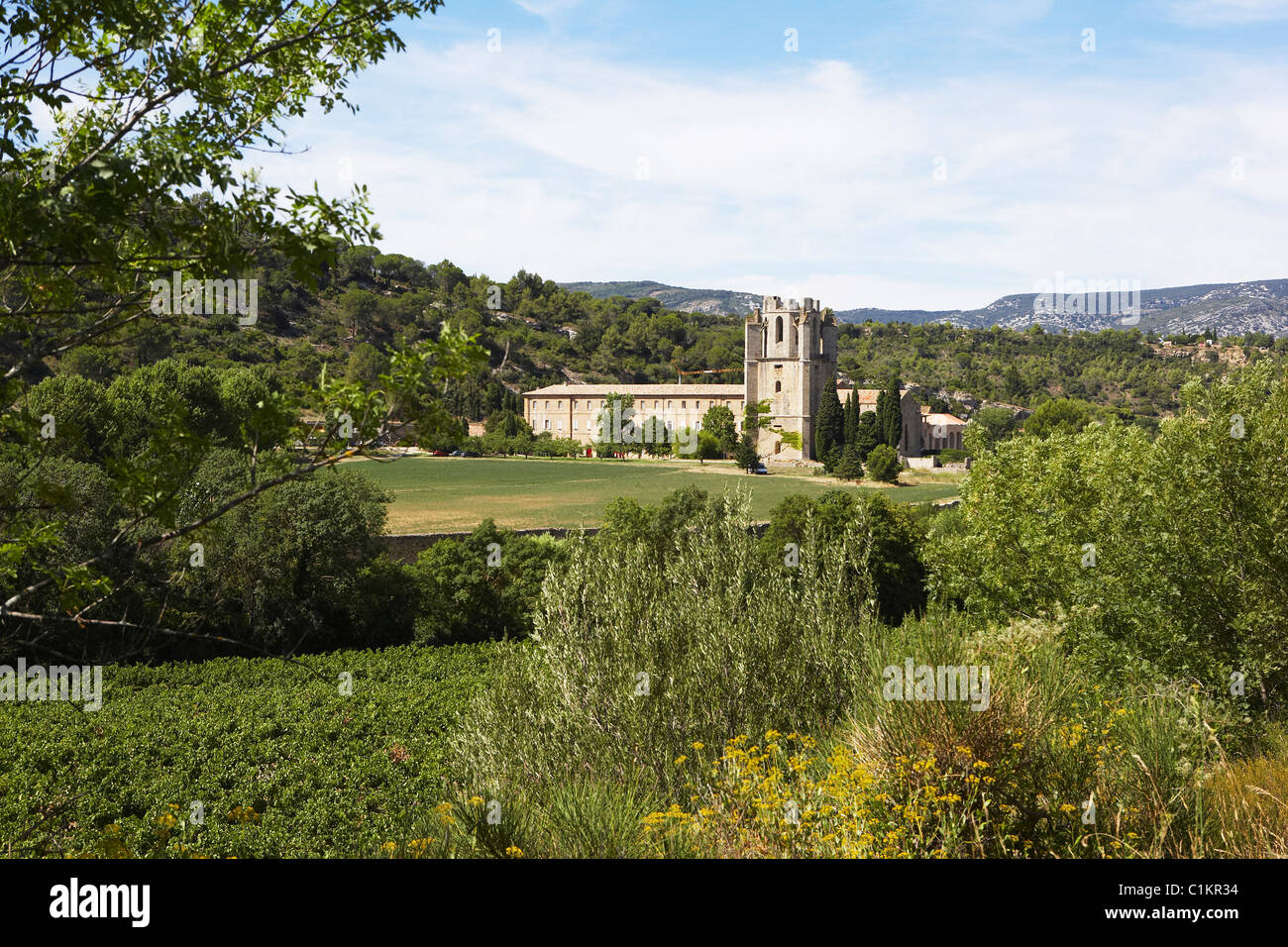 Abbaye sainte marie de lagrasse hi-res stock photography and images - Alamy