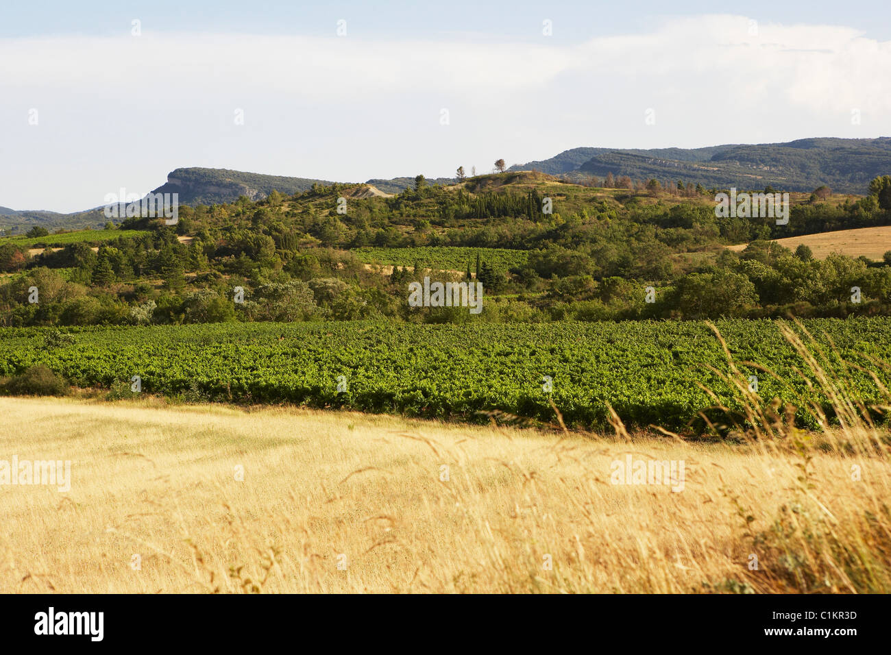 Outdoor exterior day daytime daylight nature scene scenery landscape hi ...