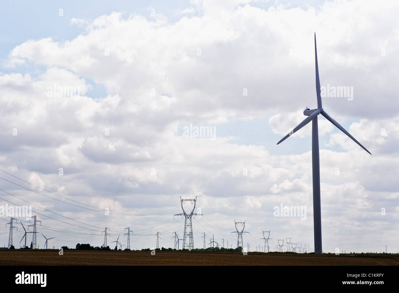 Strauss wind hi-res stock photography and images - Alamy