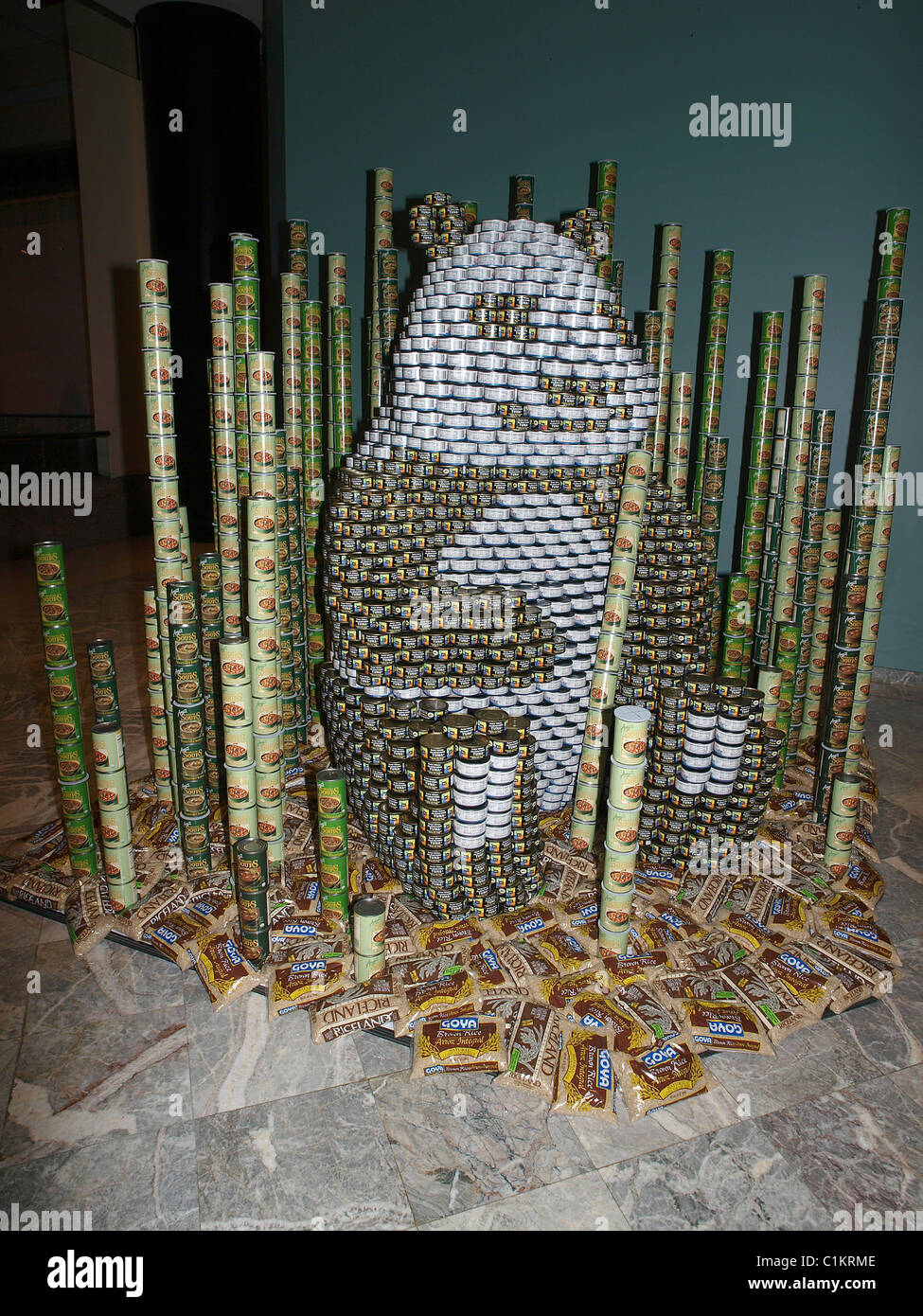 CAN-DEMONIUM! Here's a novel way to recycle your soda cans - turn them ...