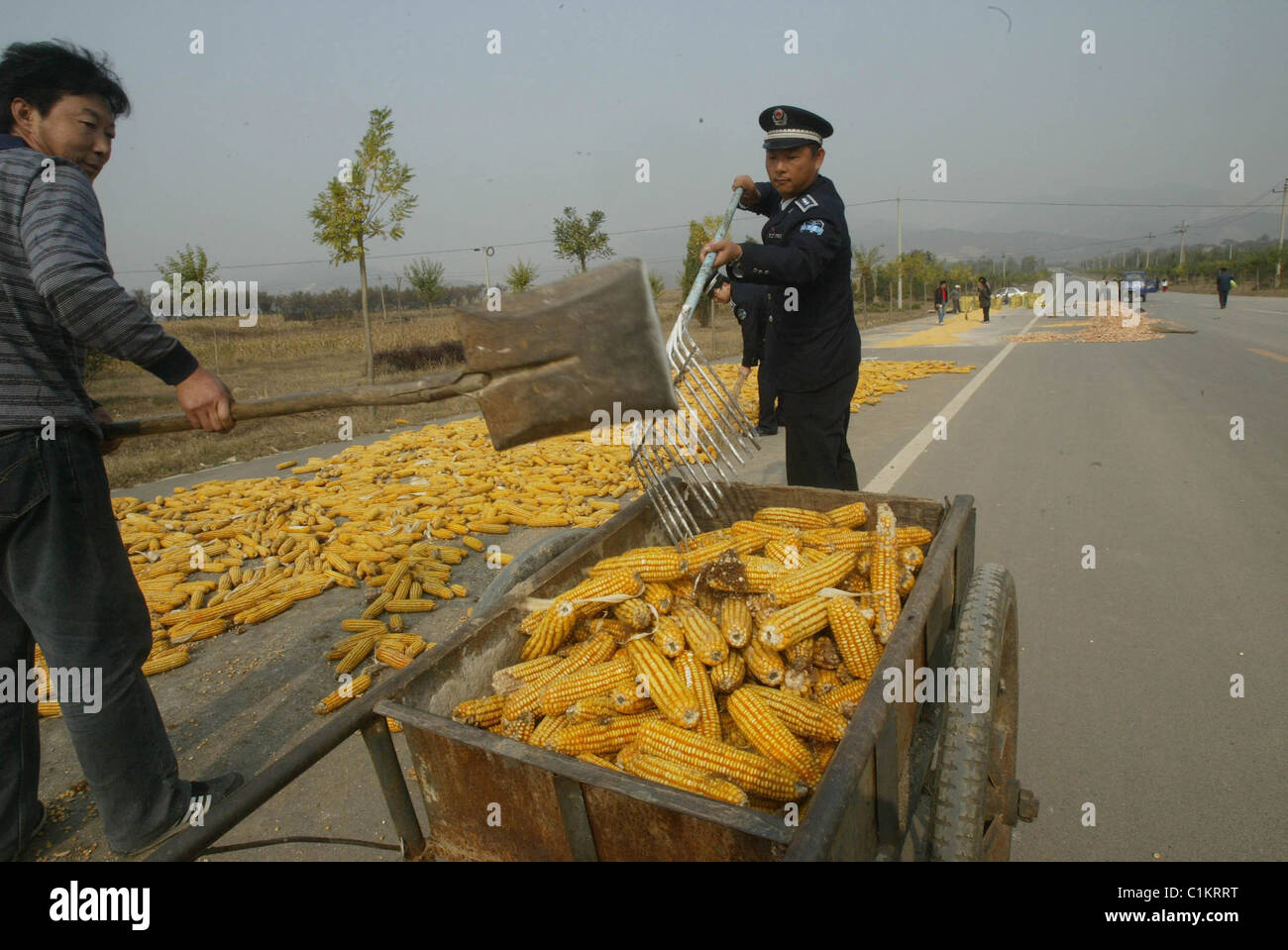 CORN-Y COPS Police in Beijing, China are cracking down on corn farmers ...