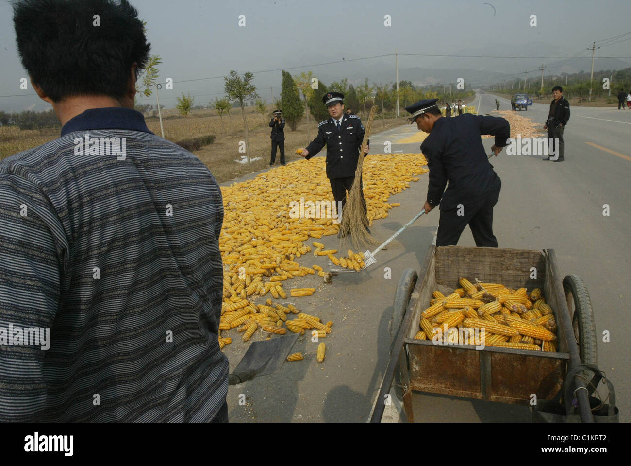 CORN-Y COPS Police in Beijing, China are cracking down on corn farmers ...