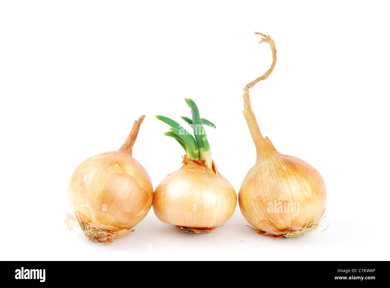 Cutting onions and crying hi-res stock photography and images - Alamy