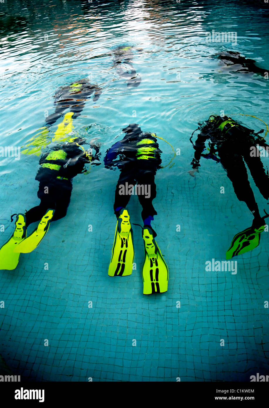 Divers in a swimming pool Stock Photo - Alamy