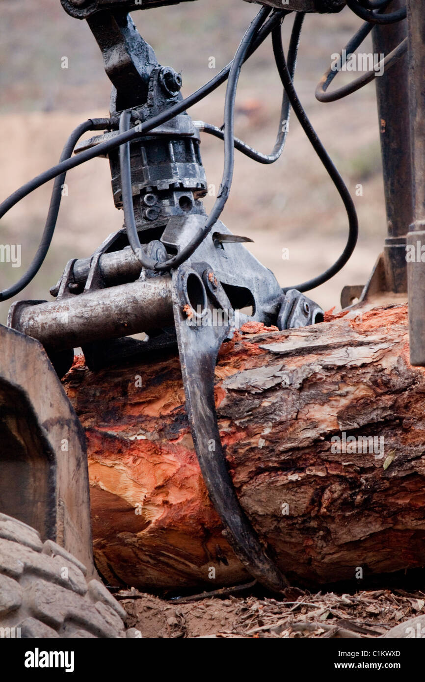 Grabbing wood pieces hi-res stock photography and images - Alamy
