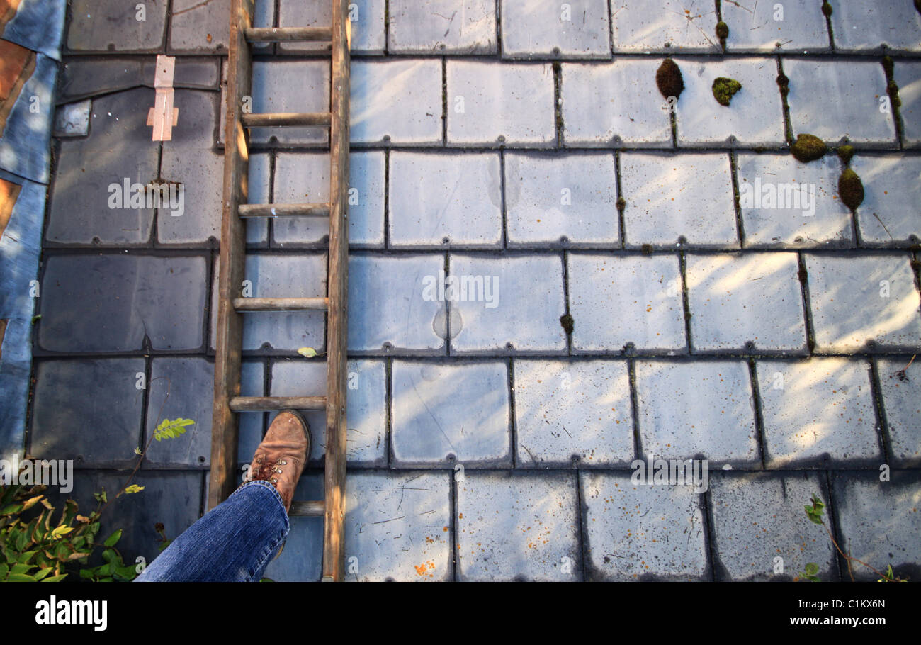 Onto ladder hi-res stock photography and images - Alamy