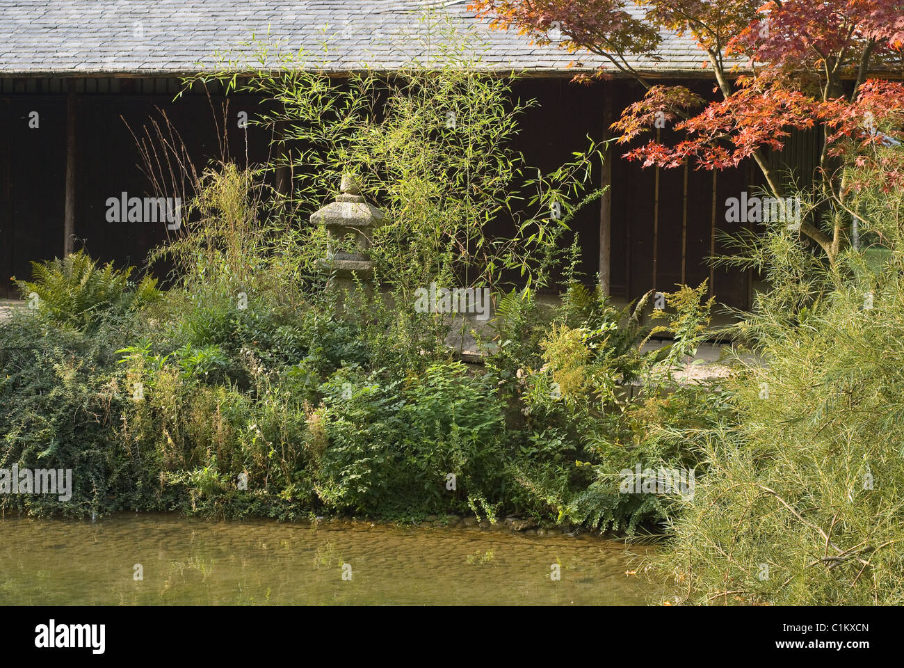 The Serenity of a Japanese Ceremonial Tea Garden Stock Photo - Alamy
