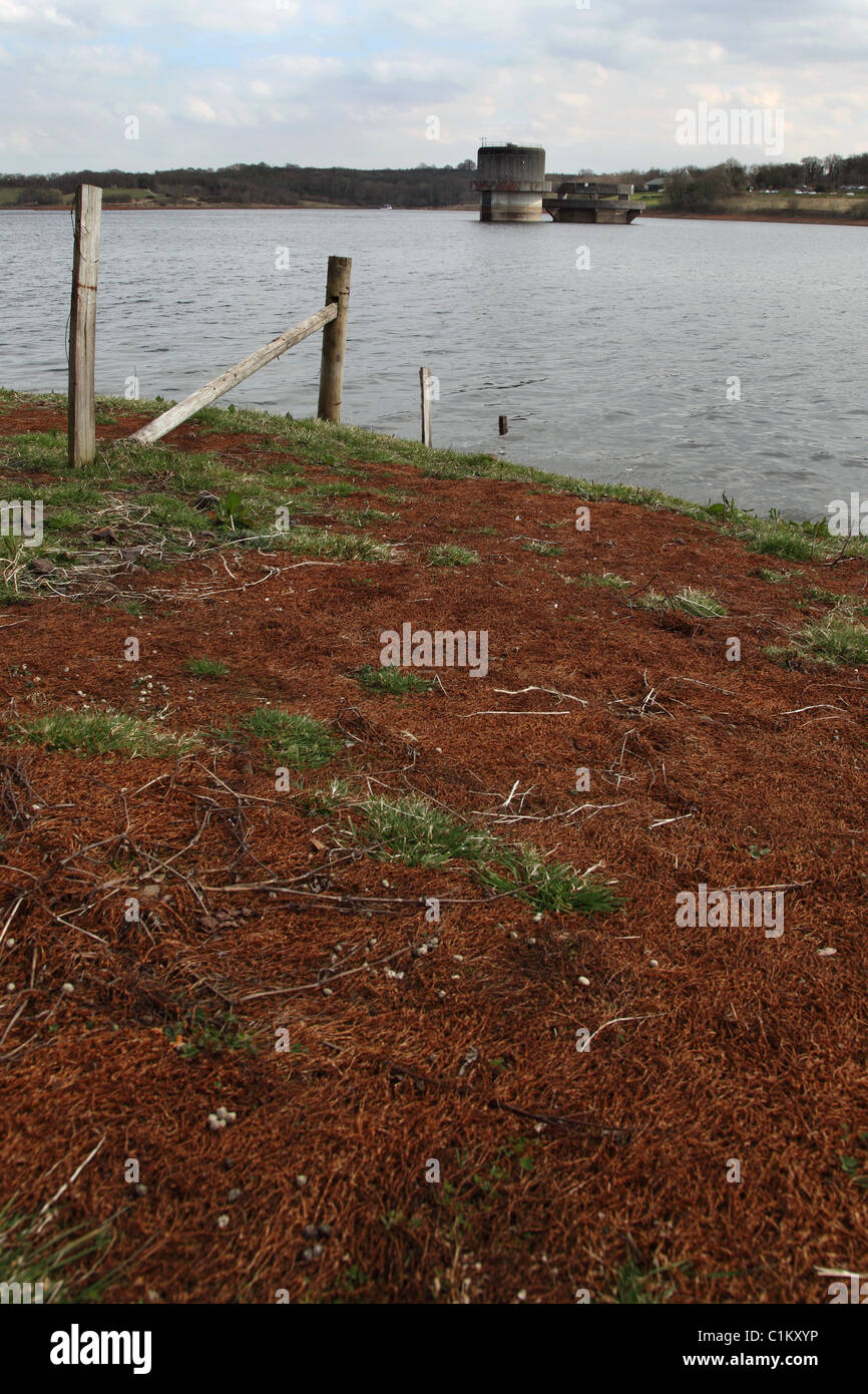 Low water level at Roadford Reservoir Broadwoodwidger Devon England UK ...