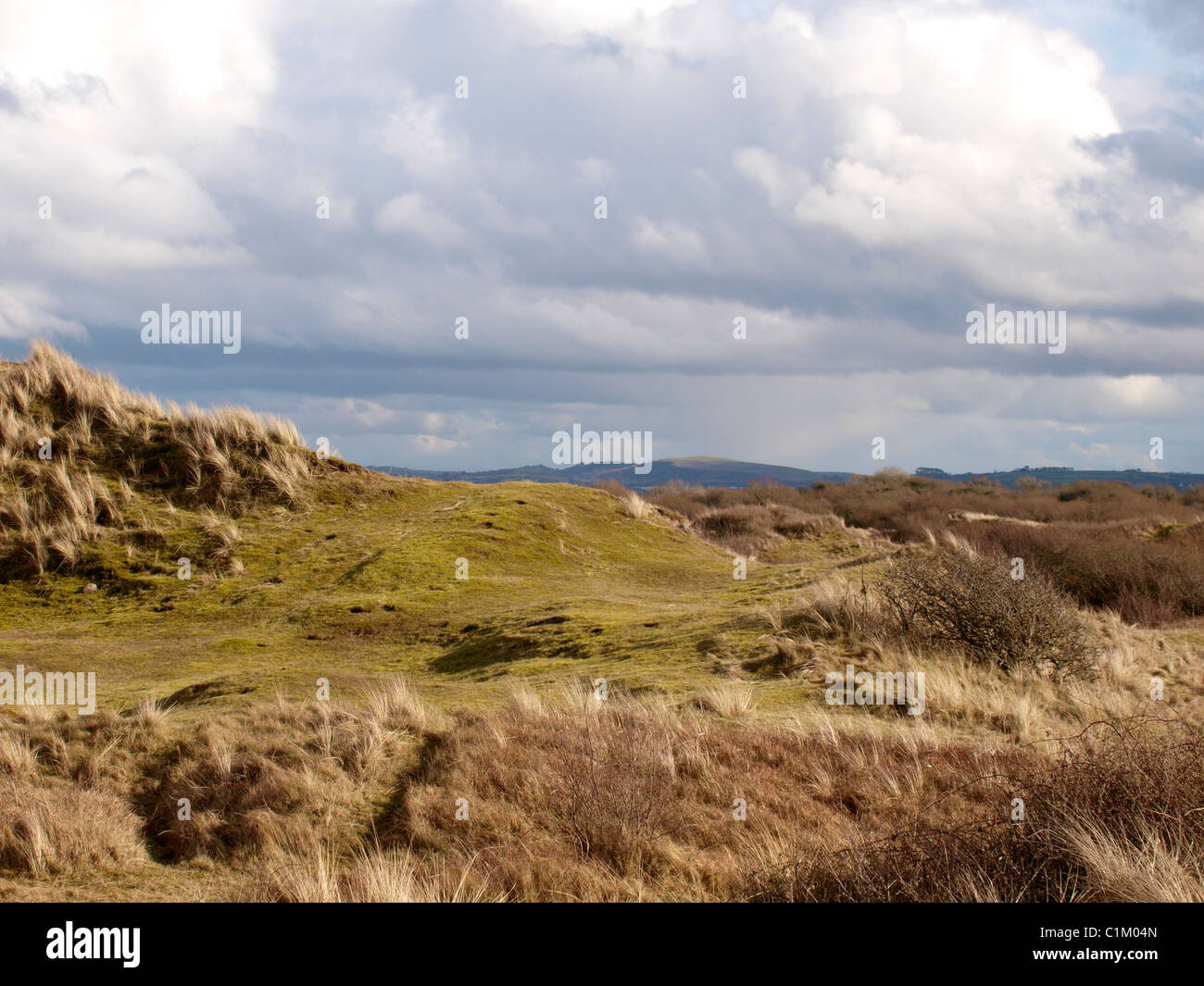 Braunton Burrows, Sand dunes, North Devon, UNESCO Biosphere Reserve, UK ...