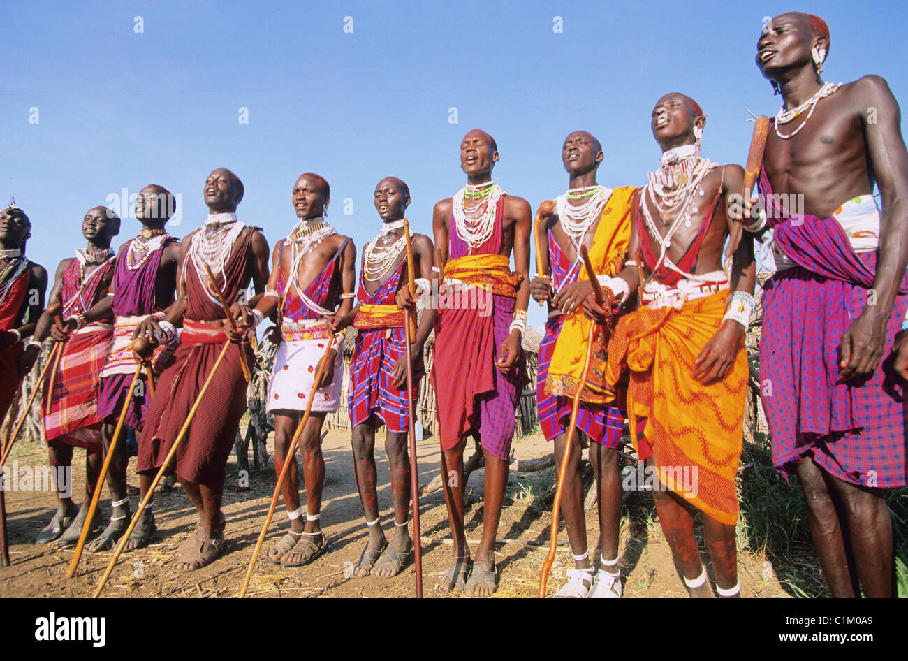 Kenya, Rift Valley, Masai village (Manyatta), Alamal, ritual ceremony ...
