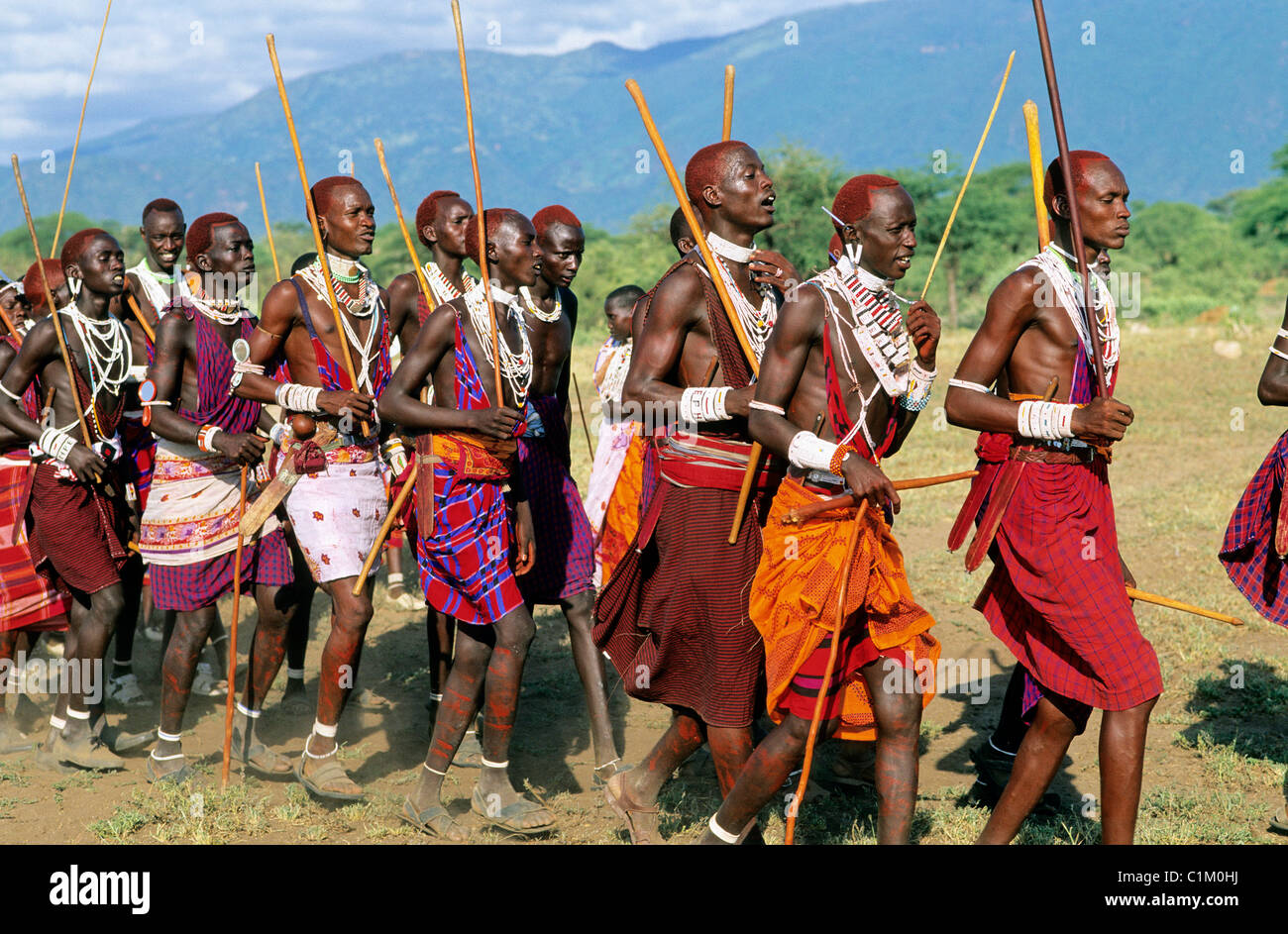 Kenya, Rift Valley, Masai village (Manyatta), Alamal, ritual ceremony ...