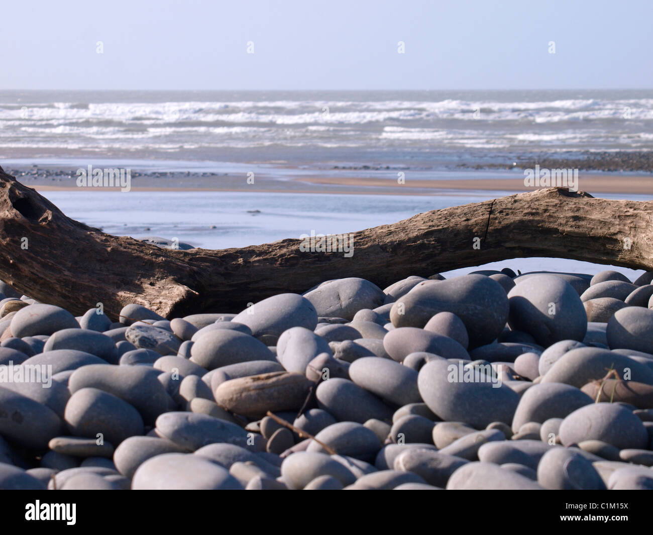 Log washed up on the beach, Devon, UK Stock Photo - Alamy