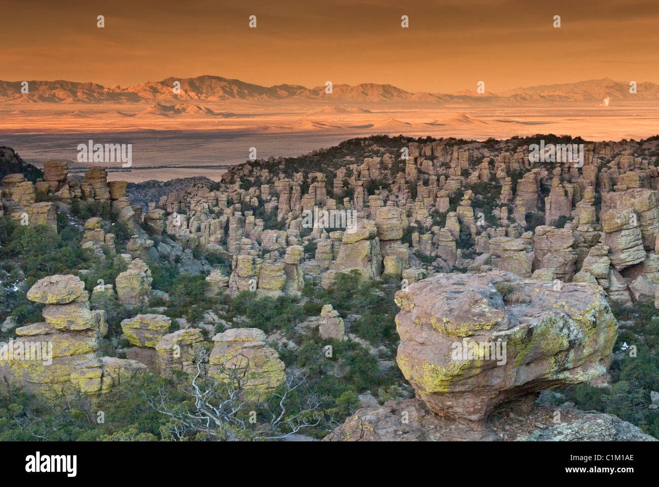 Dragoon springs hi-res stock photography and images - Alamy