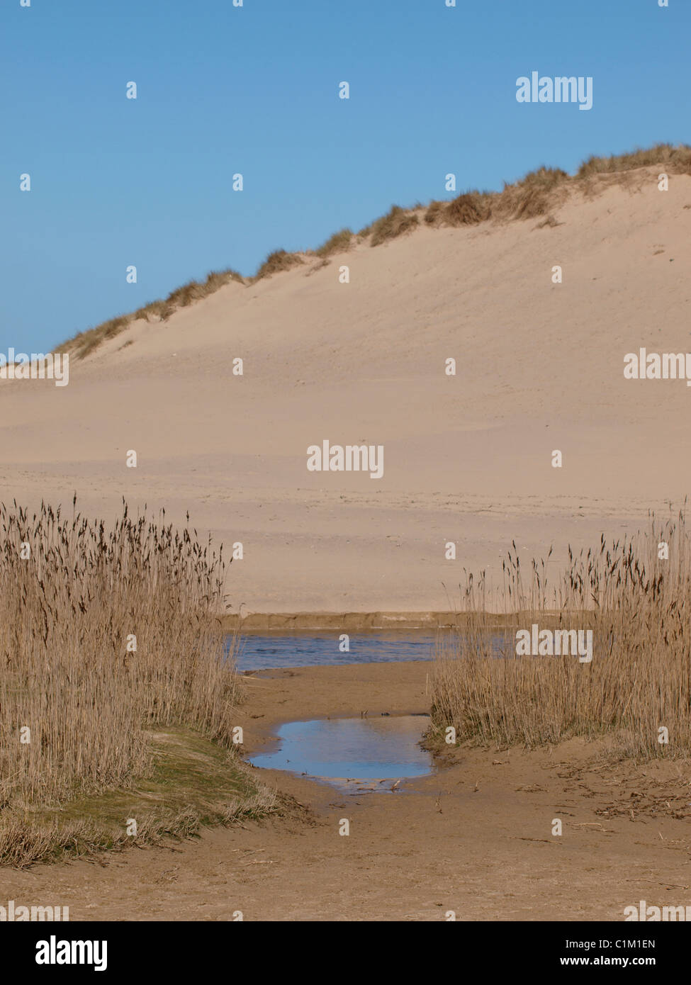 Sand dunes, Holywell Bay, Cornwall, UK Stock Photo - Alamy