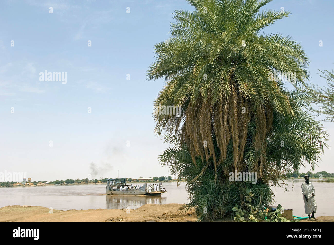 Sudan, ferry crossing the Nile river at the oasis of Atbara Stock Photo ...