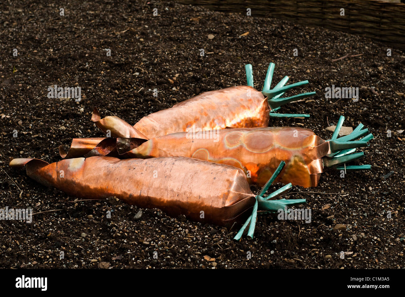 Copper carrots sculpture by Jenny Distin at RHS Rosemoor Winter 2010/ ...
