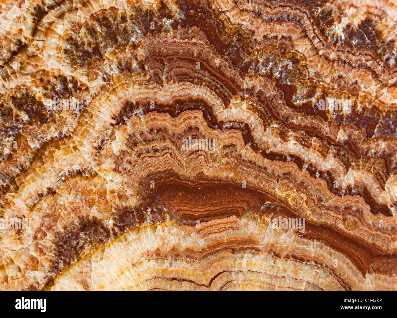 Speleothem section hi-res stock photography and images - Alamy