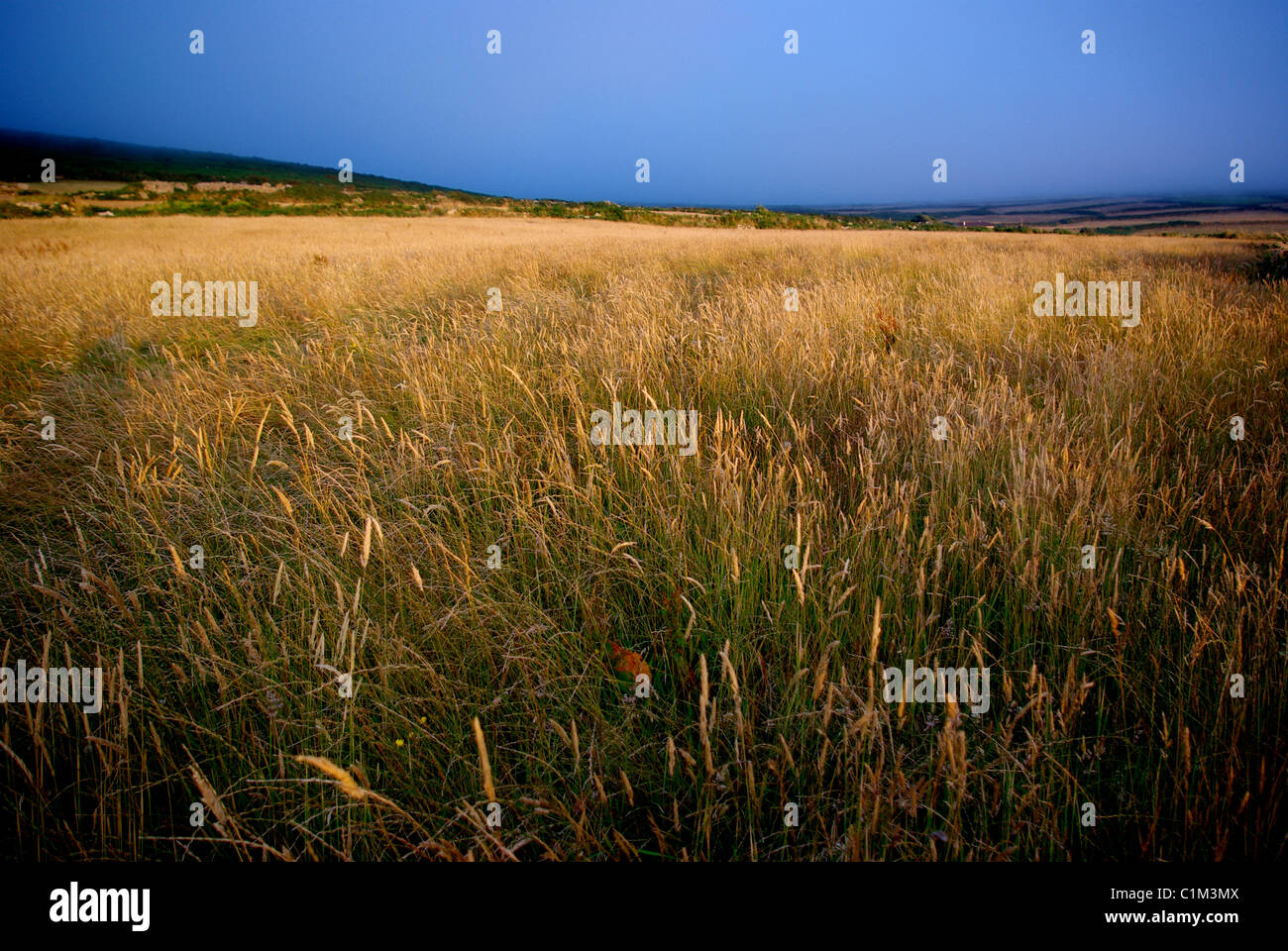 Hayfield hi-res stock photography and images - Alamy