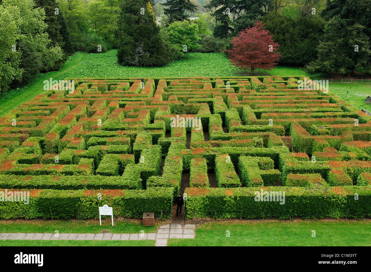 United Kingdom, Scotland, the Borders, the labyrinth behind the castle ...
