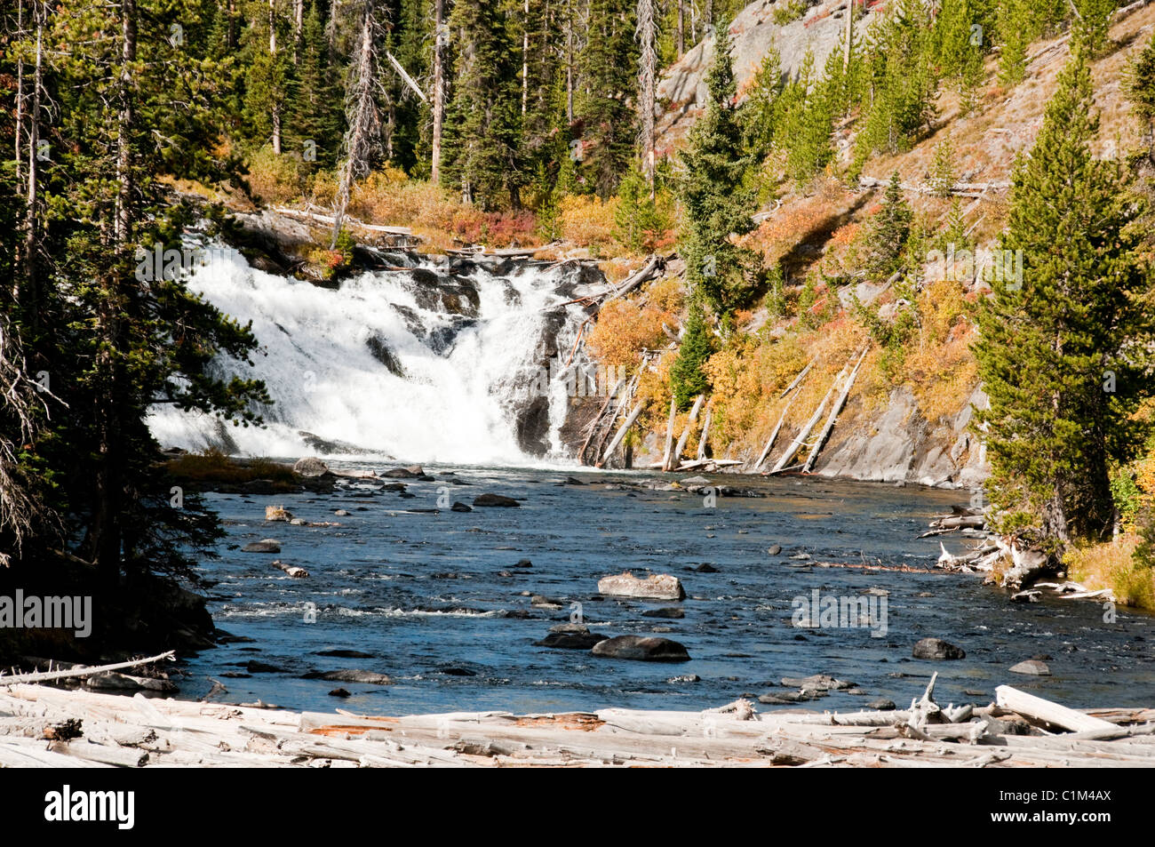 Colter Bay,Leeks Marina,Aspens in Fall Colours,Colors,Jackson Lake ...