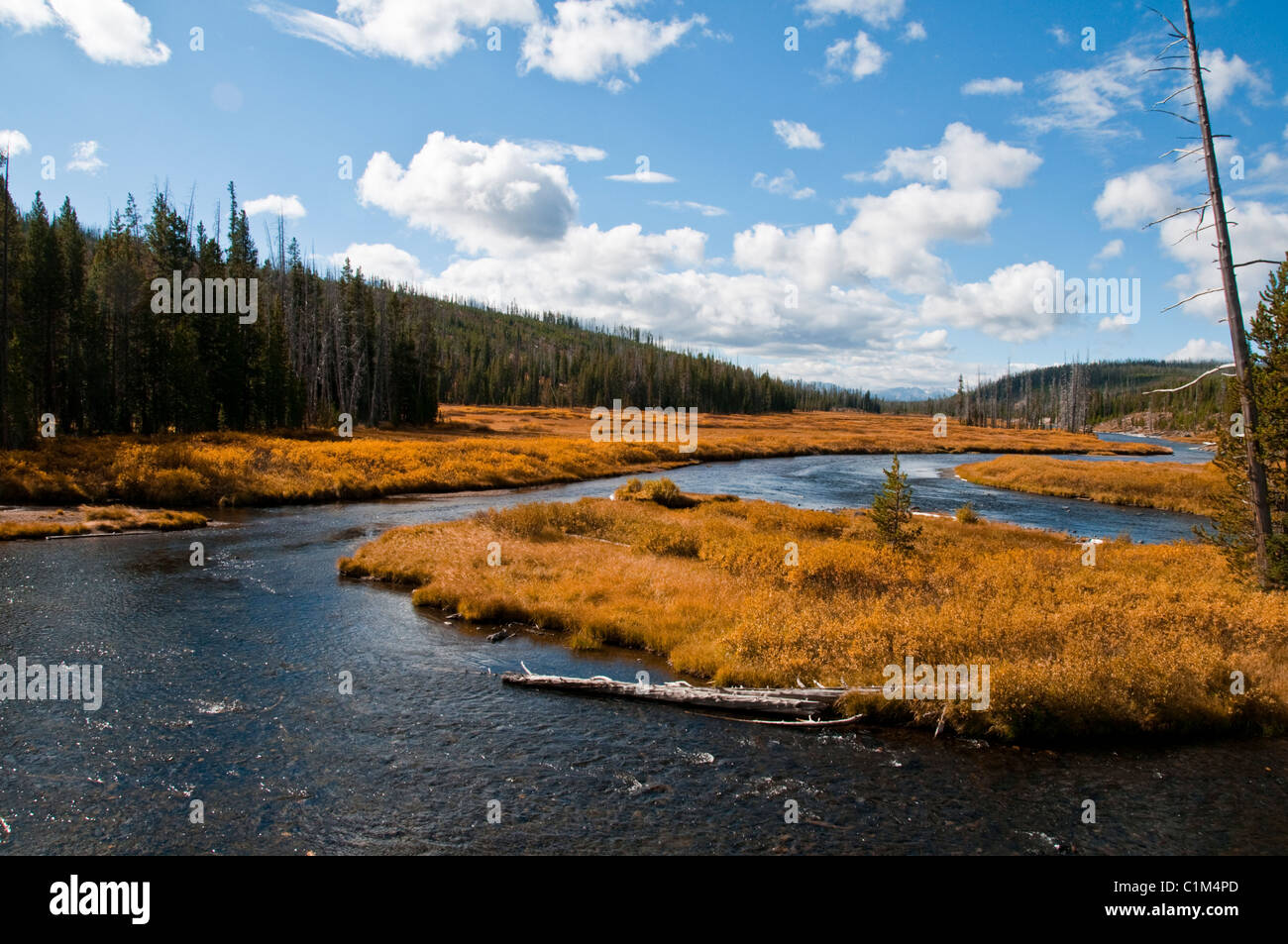 Colter Bay,Leeks Marina,Aspens in Fall Colours,Colors,Jackson Lake ...
