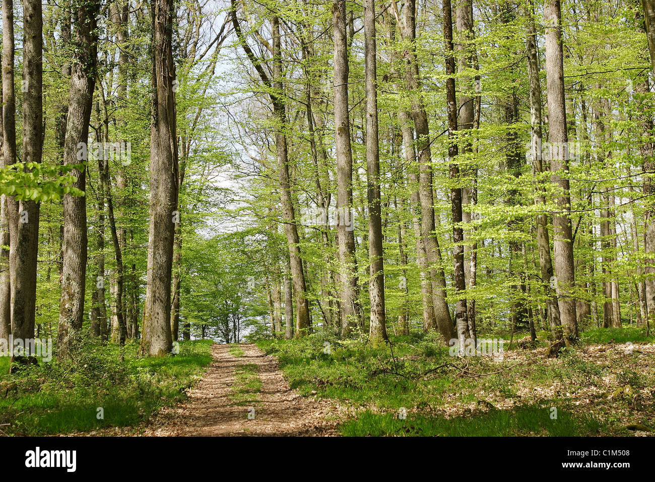 Bourbonnais region hi-res stock photography and images - Alamy