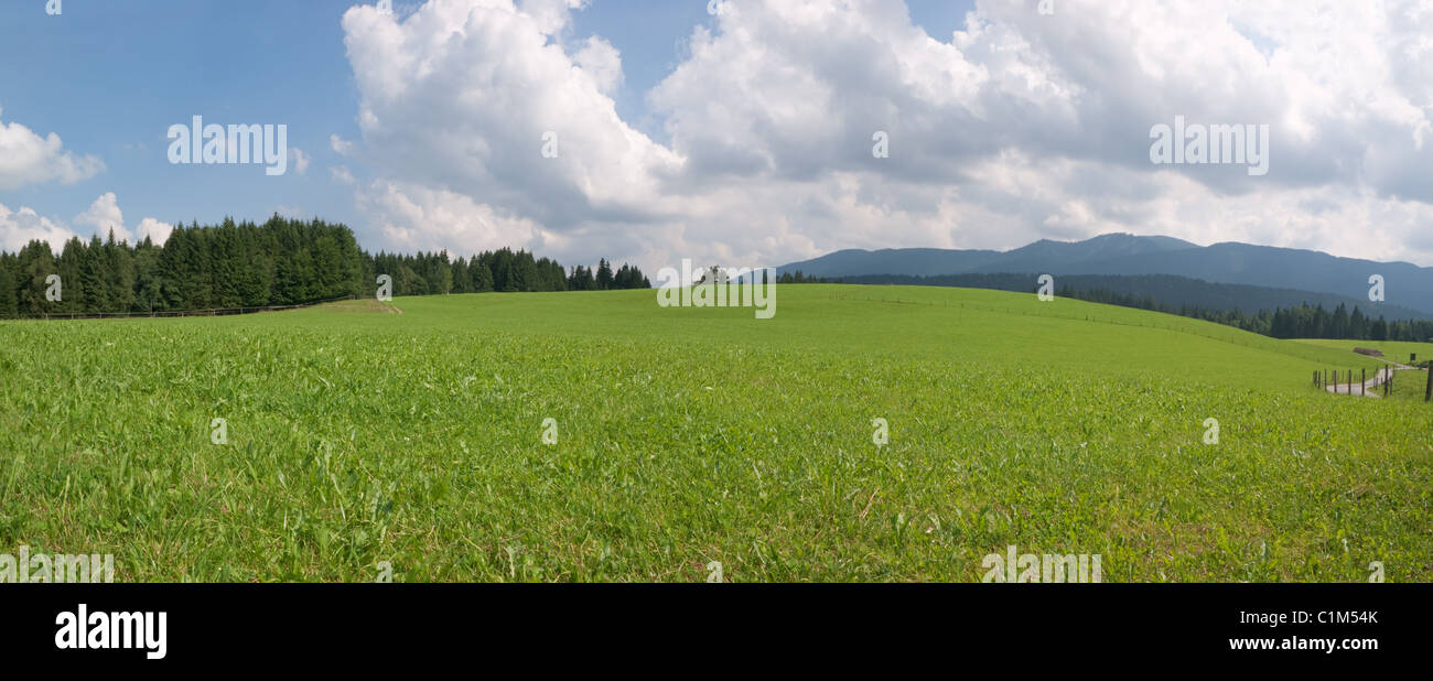 Alpine, summer panoramic landscape Stock Photo - Alamy