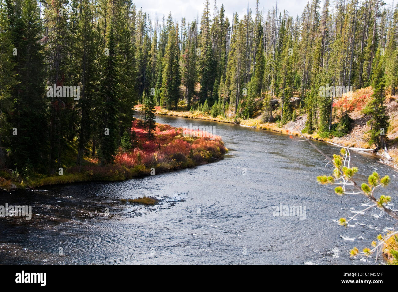 Colter Bay,Leeks Marina,Aspens in Fall Colours,Colors,Jackson Lake ...