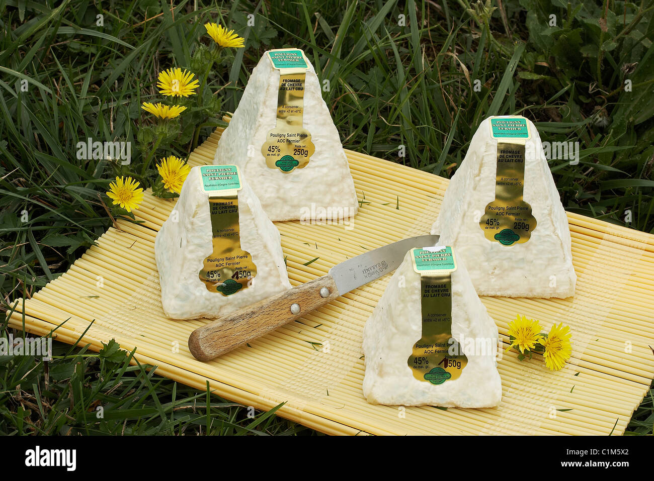 France, Indre, Berry, Pouligny Saint Pierre goat cheese Stock Photo - Alamy