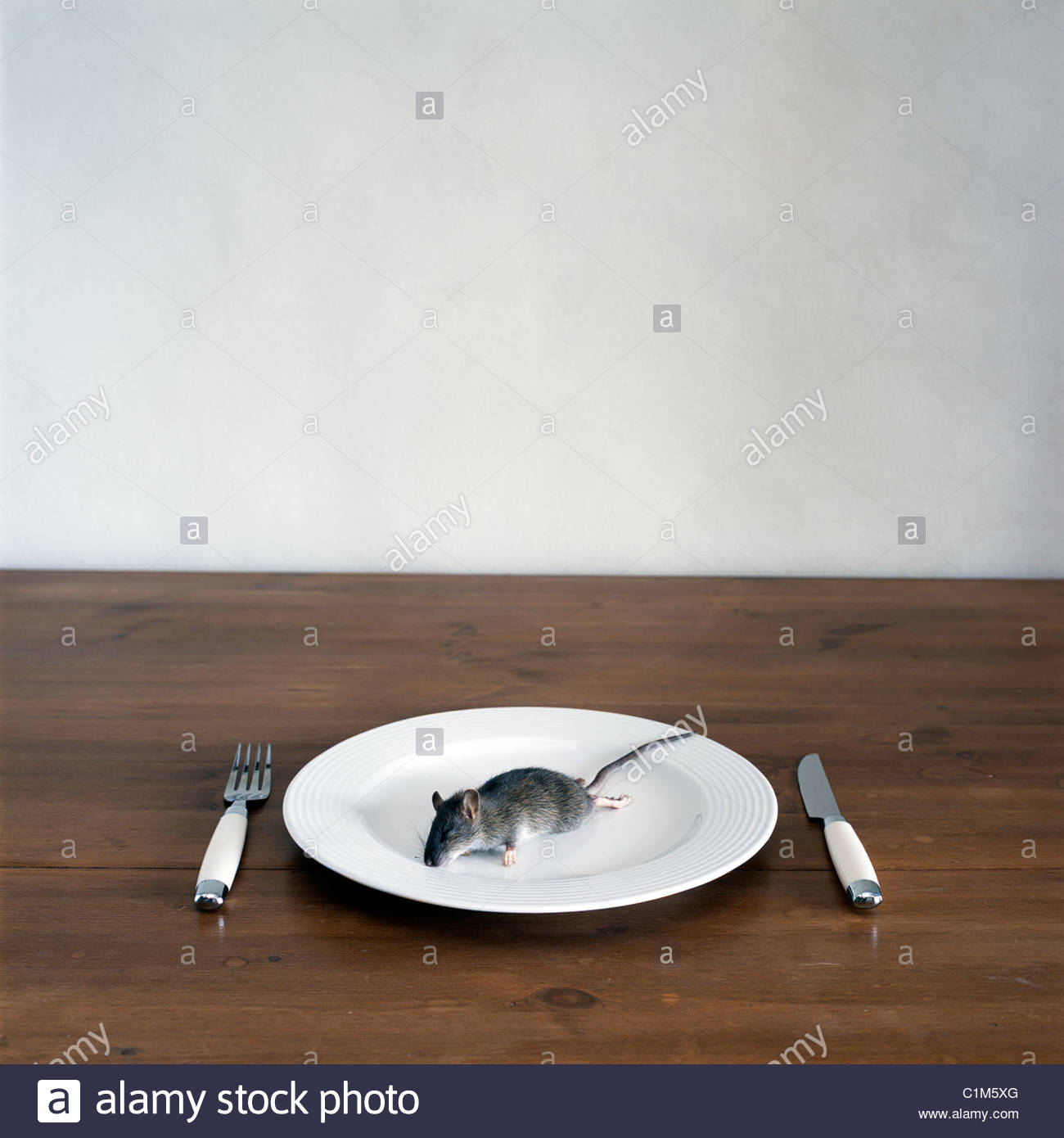 Horrible Food Stock Photos & Horrible Food Stock Images - Alamy