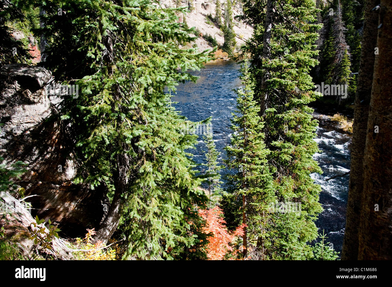 Colter Bay,Leeks Marina,Aspens in Fall Colours,Colors,Jackson Lake ...