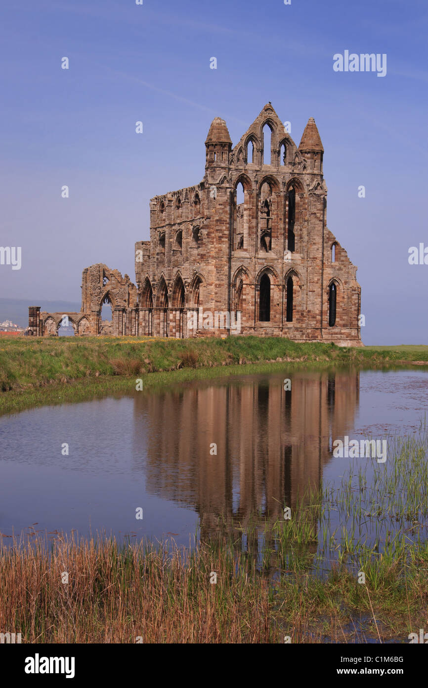 Whitby Abbey, gothic ruins on the North Yorkshire coast, England Stock ...