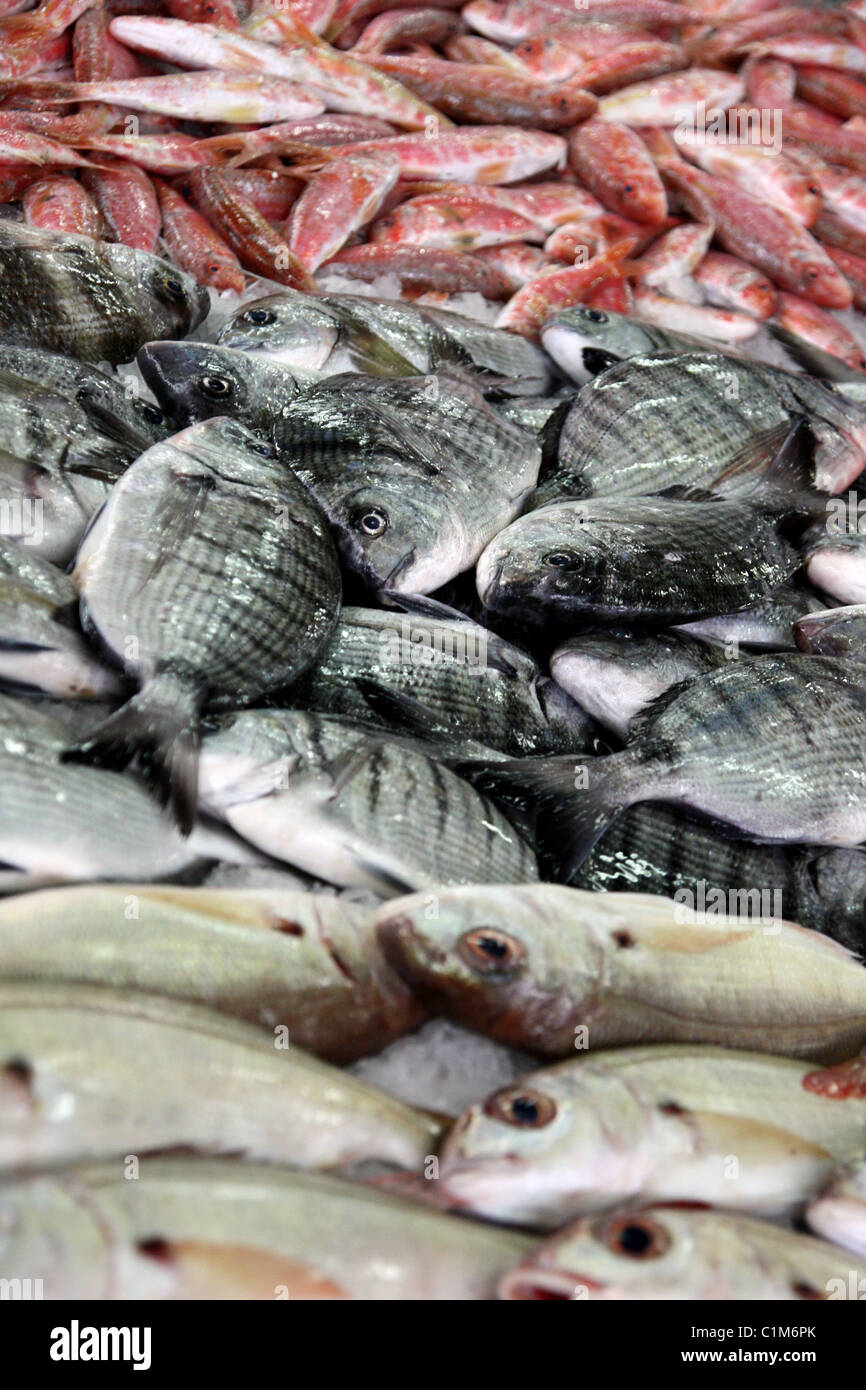 View of several bream family fishes at the market Stock Photo - Alamy