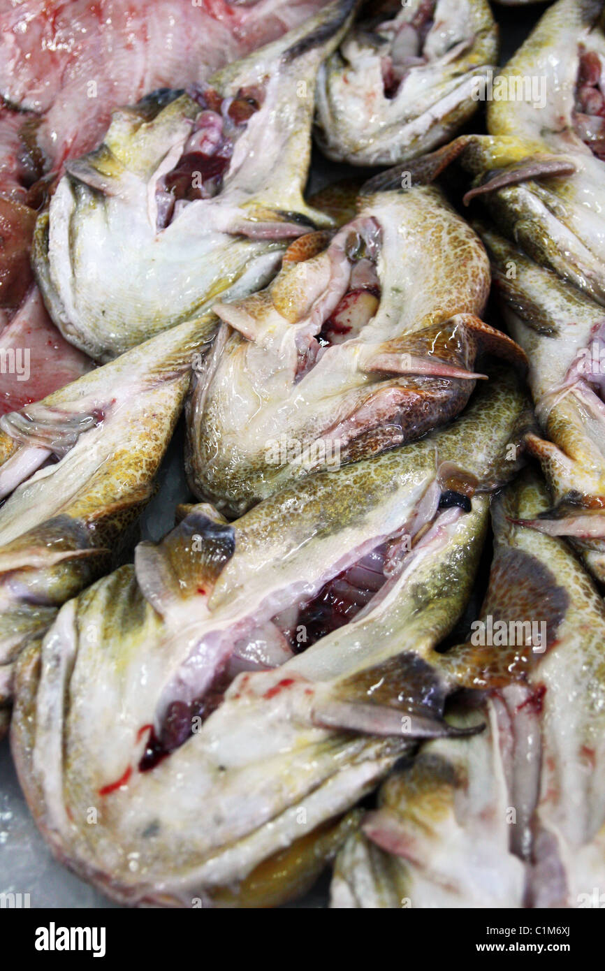 View of several monkfish prepared at the fish market Stock Photo - Alamy