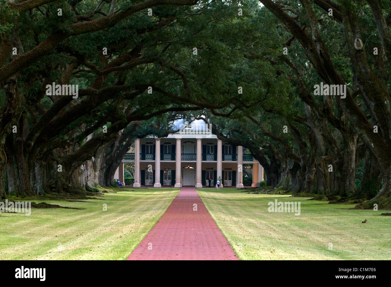Oak Alley Plantation located on the Mississippi River in the community ...